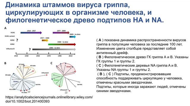 Грипп. Преодоление вирусом межвидовых барьеров