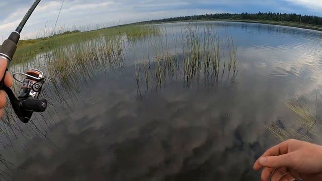Ловля щуки на спиннинг с берега