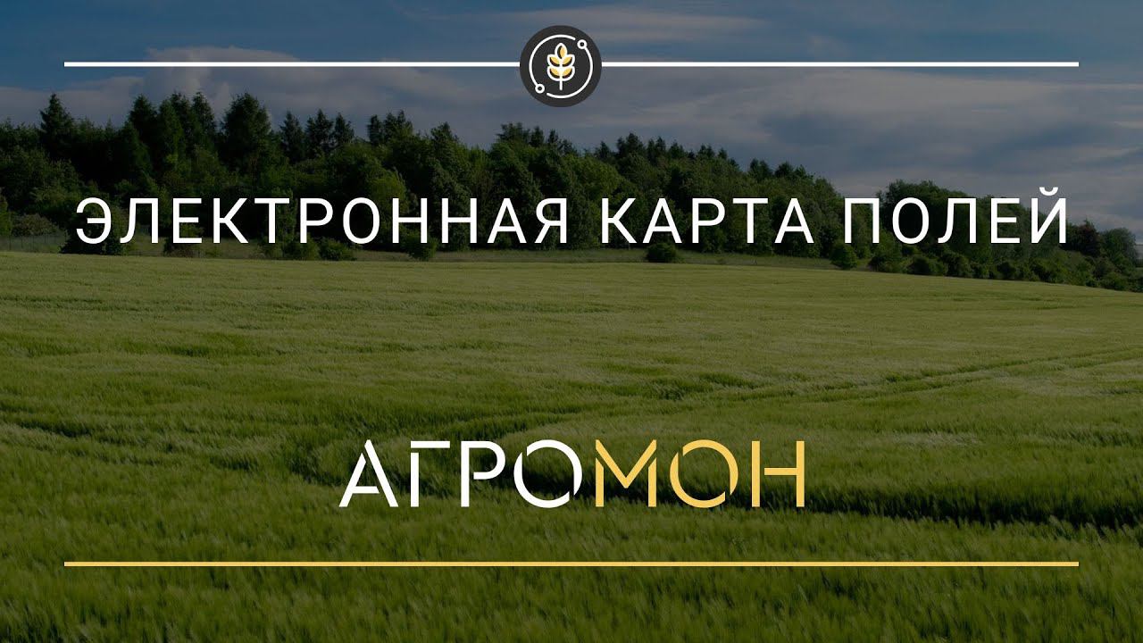 Карта полей