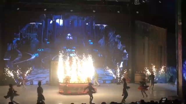 Сочи парк 2022