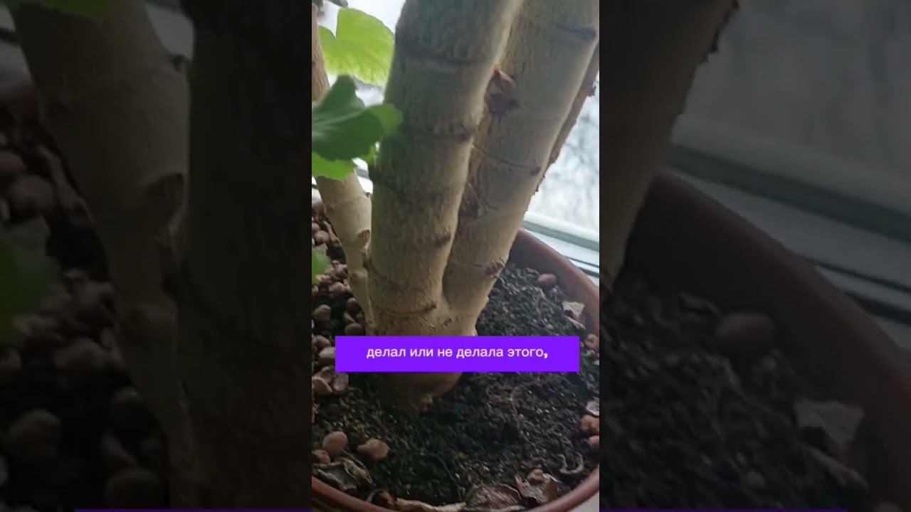 МОТИВАЦИЯ❤ #музыка #творчество #стихи #мотивация