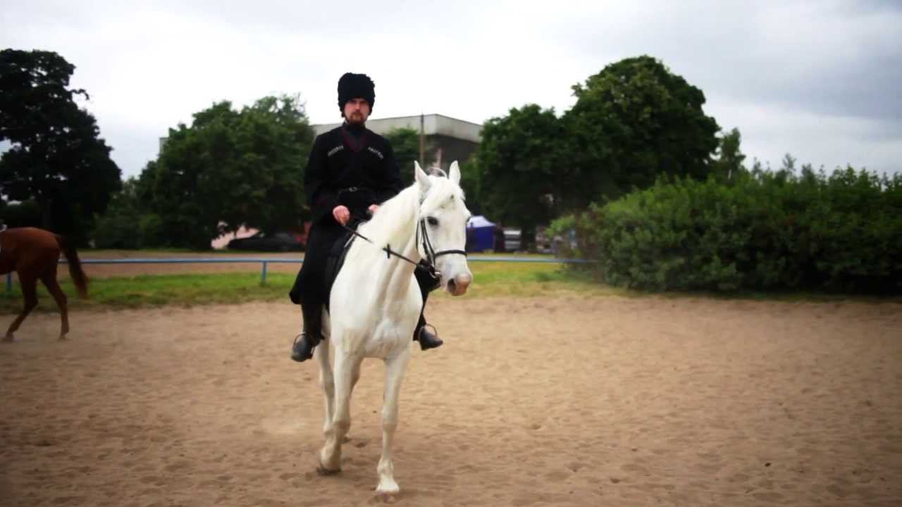 Александр Букин - Джигитовка по неволе