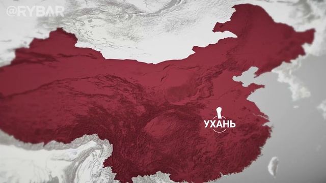 Хроника мирового протеста: обзор точек кипения с 16 по 22 февраля