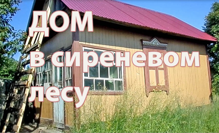 3 июля 2021 дом в сиреневом лесу.mp4