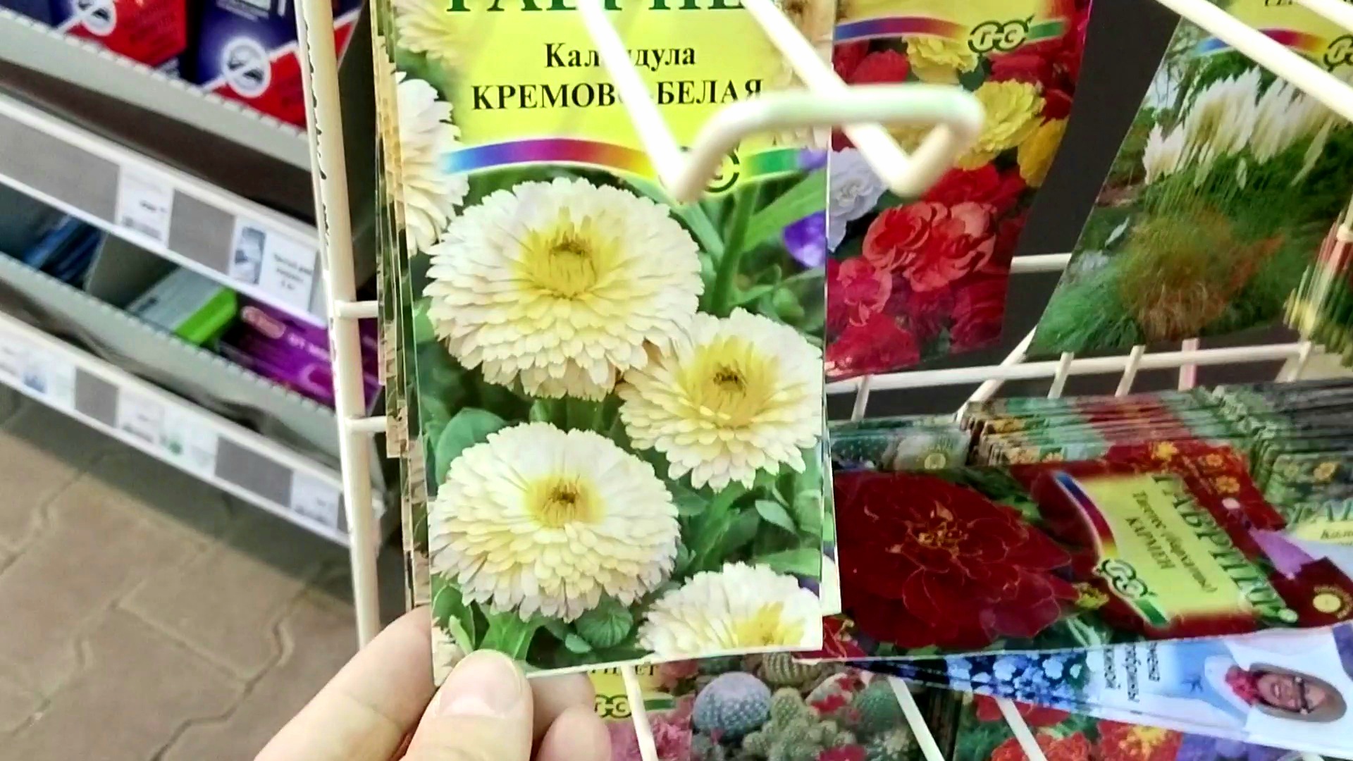 ??Скидки на Семена в Оби?⚘