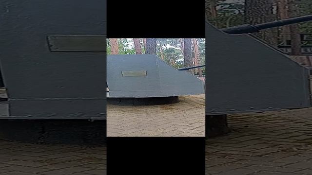 Сосновый Бор