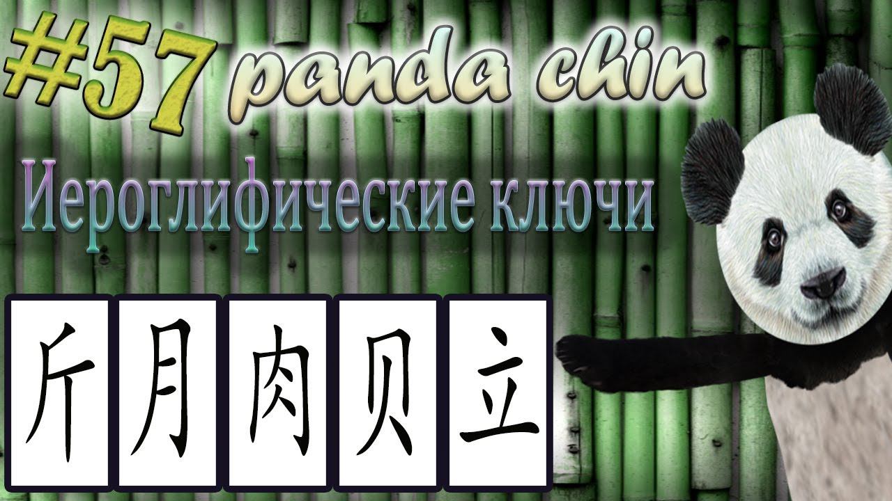 Урок 57. Ключи китайских иероглифов: 斤 (топор), 月 (луна), 肉 (мясо), 贝 (ракушка) и 立 (стоять)