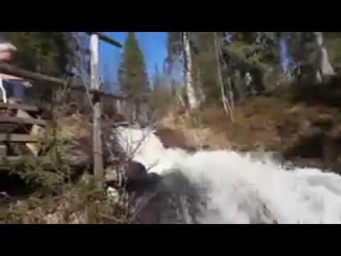 Молодильный ручей на горе Кивакка  8 июня 2017 г