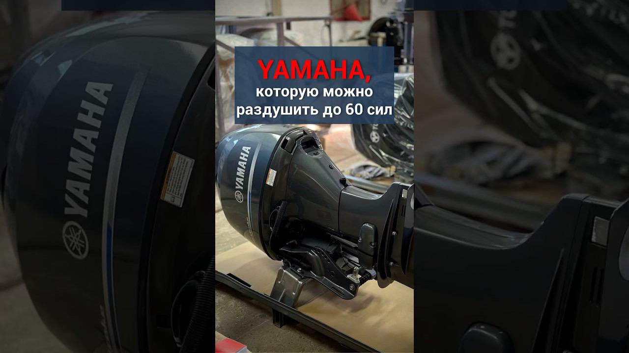 Мотор Yamaha, который раздушивается в 60 сил: показываем комплектацию #ямаха #лодки #рыбалка #охота