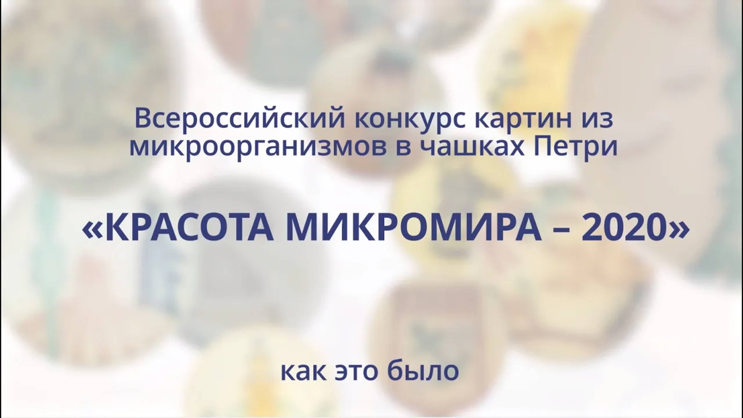 5 лет конкурсу "Красота микромира"