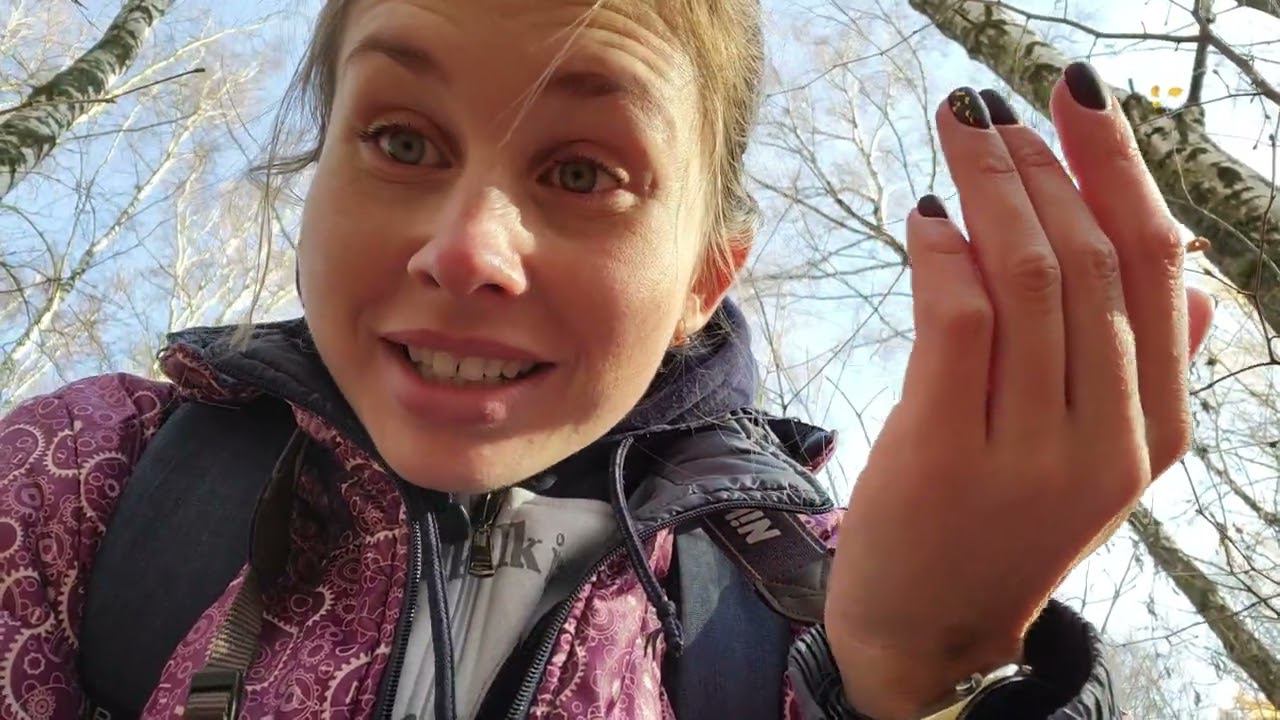 лесная прогулка. грибы в подмосковье