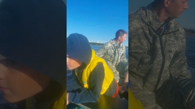 По Ярославской области.