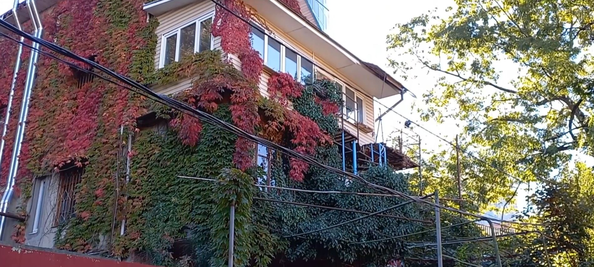 Сочи. Светлана Часть 2 . Зигзаги южных улиц