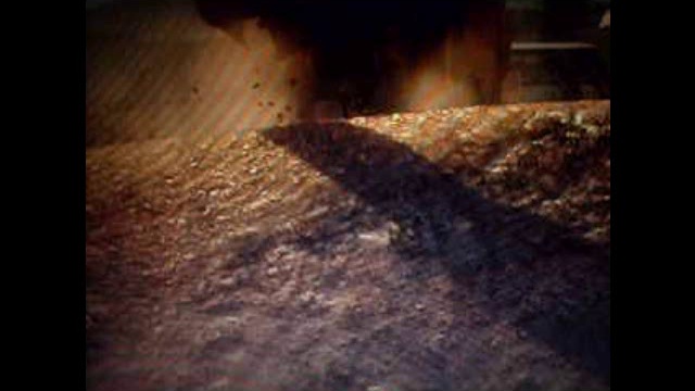 грузовое ралли