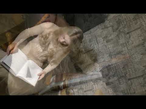 Дружина Арина Викторовна. 'Одна история, одной маленькой девочки…'