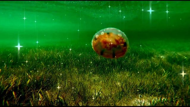 Танец медуз