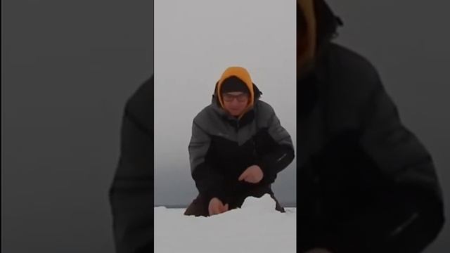 Налим на жерлицы в январе