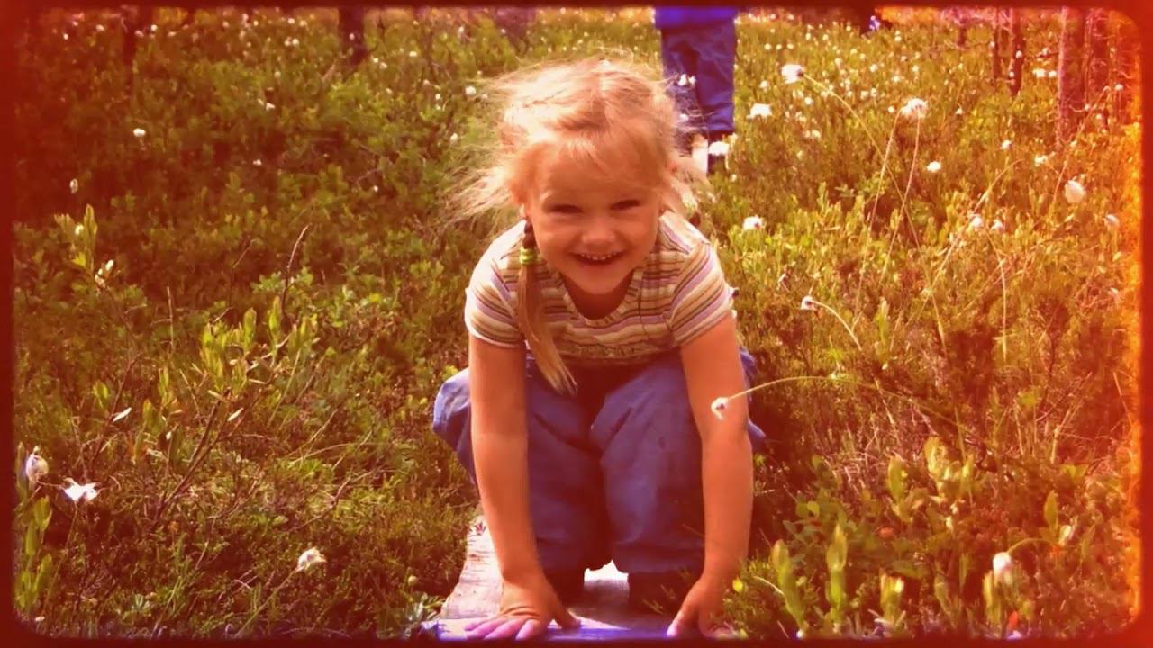 Водный поход по реке Лиекса, июнь 2013