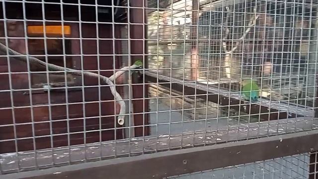 Парк "Лога".
Это нужно увидеть самому!