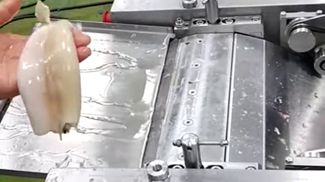 Шкуросъемная машина для рыбы и трубчатого кальмара CH 350P