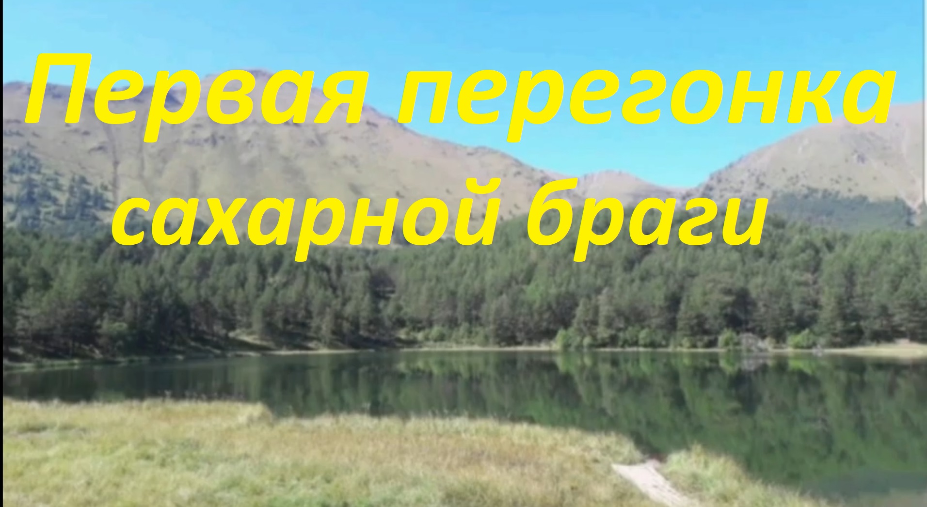 13. Первая перегонка самогона. Получаем спирт сырец из браги. Wein.