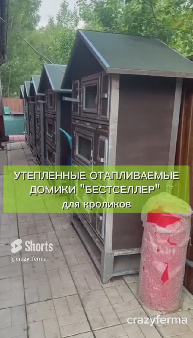 ОДОБРЕНО УШАСТЫМИ! В этих домиках кролики здоровее и плодовитее, а также легче набирают вес #shorts