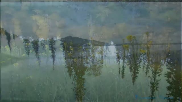 Приглашаю в путешествие по Карелии