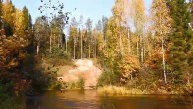 СБОРНИК ЧУДЕСНЫХ  ТРЕКОВ! ЗАМЕЧАТЕЛЬНЫЕ ПЕСНИ! 2024!