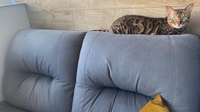 Видео отзыв о прямом диване "Неаполь".mp4