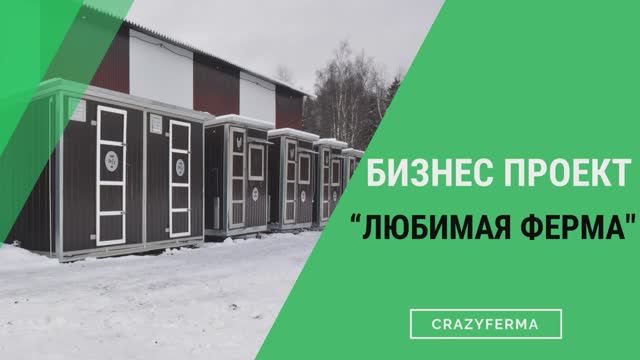 Бизнес идея: Разведение кур, прибыль на натуральном хозяйстве. Проект "Любимая Ферма"