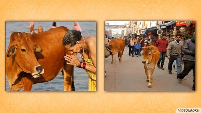 Природа и люди Древней Индии.mp4