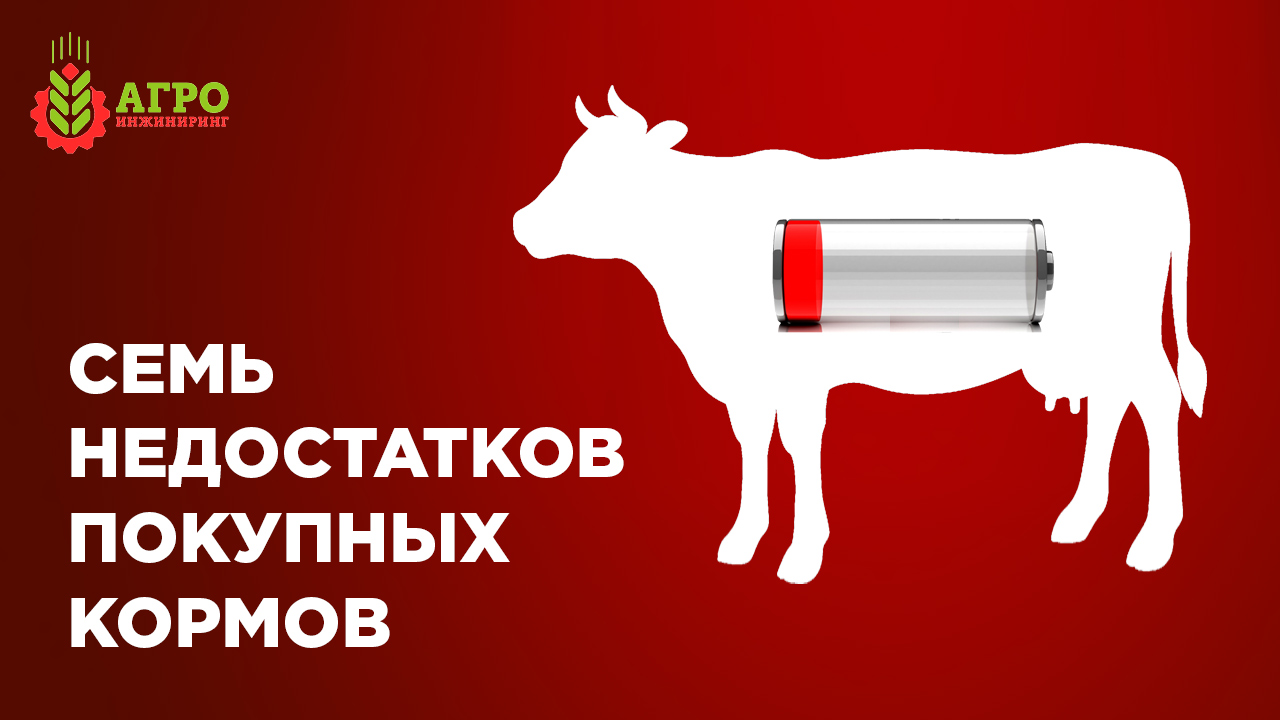 Покупные корма для животных, какие есть минусы для животновода.