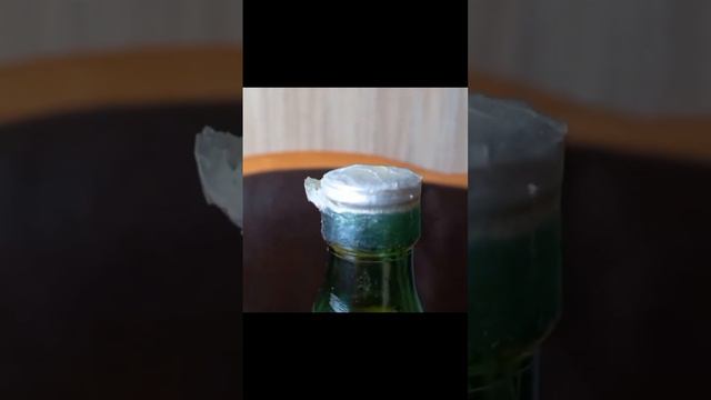 Моя Реликвия