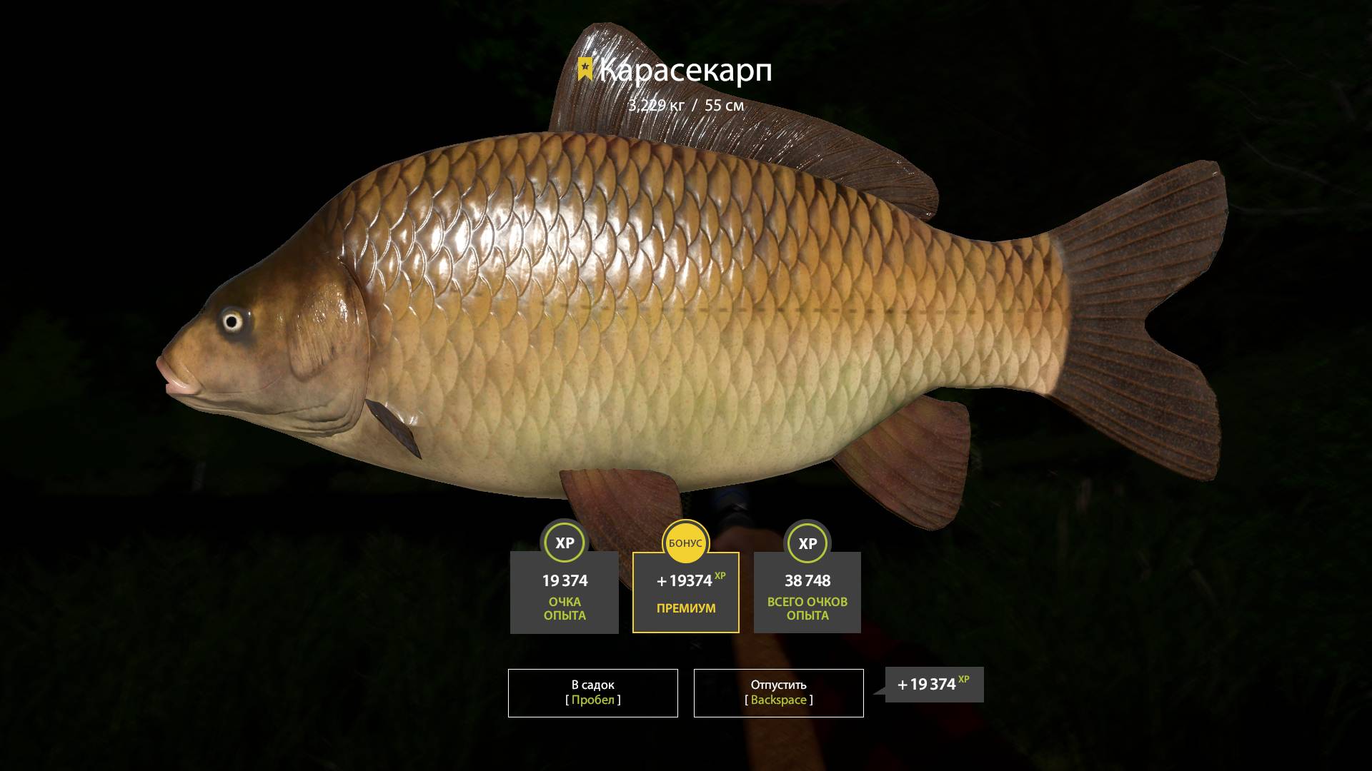 Медное фарм 55...48