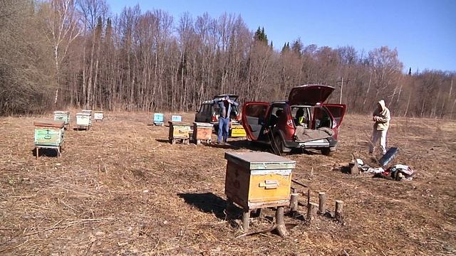 Начало сезона 2021. Пчеловодство.