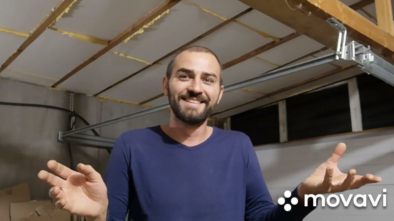 Нашёл щенка КРЕНДЕЛЬ, поговорим о собаках и кошках