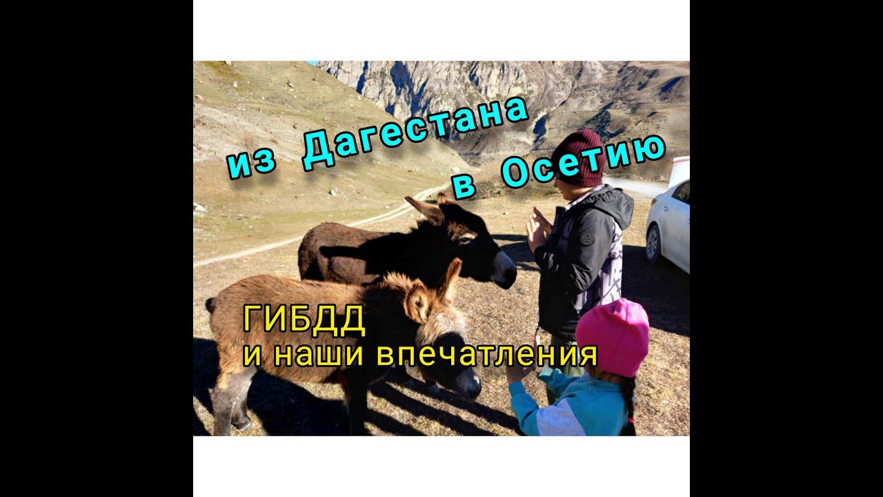 Из Дагестана в Северную Осетию через Чечню/трасса "Кавказ"/про ГИБДД и наши впечатления о Дагестане