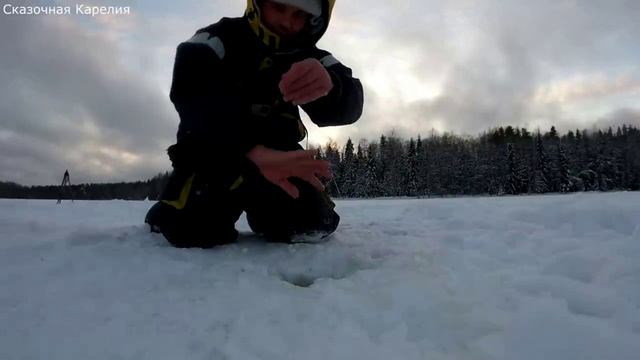 Ловля плотвы и окуня на лесном озере в Карелии на блёсны от Mr.Musurok. Рыбалка 2023г