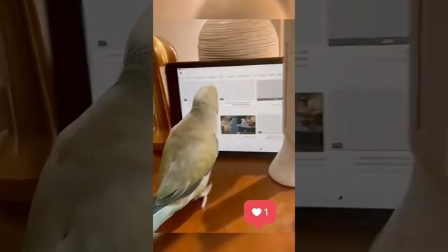 ?хорошего дня!?