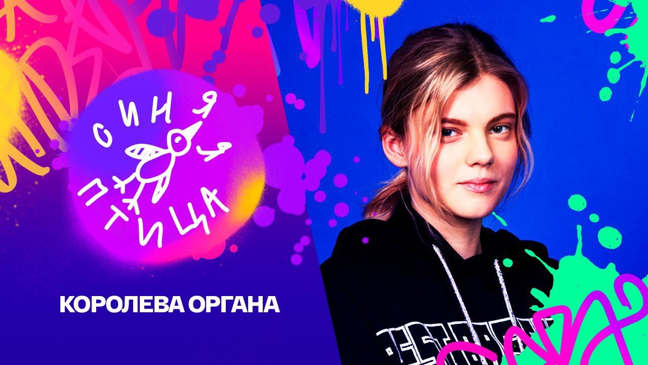 Синяя птица. Стефанида Ермолаева. Э. Ваммес, "Зеркало" // Реально новый сезон