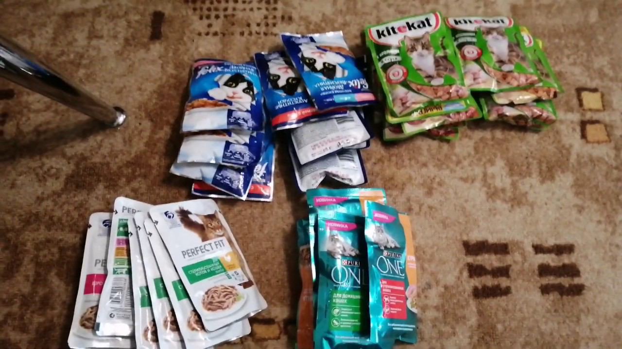 Завтракаю и покупки для Мурки.