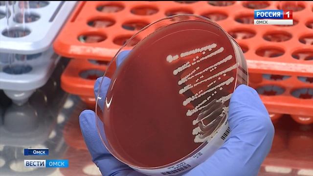 Антибиотикорезистентность. Возможности бактериологических исследований