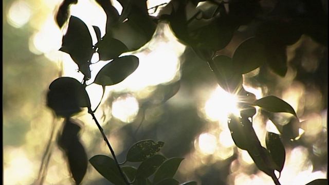 История математики 4 серия «За пределы бесконечности» (документальный сериал, 2008)