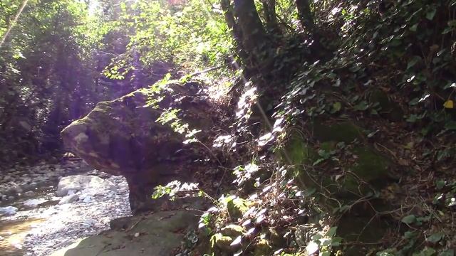 06_10_2018-год_СОЧИ,Лазаревский р_он,каньон реки МАМЕДКИ.mp4