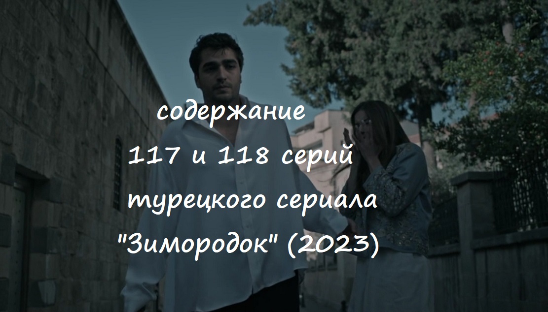 Содержание 117 и 118 серий (ФИНАЛ СЕЗОНА) турецкого сериала "Зимородок" (РФ, 2023)