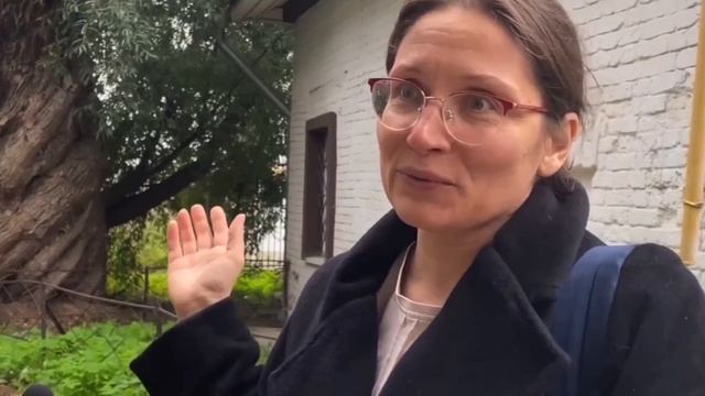 Короткометражный ролик "Старая ива", автор Анастасия Гусева. Нижний Новгород, ул.Грузинская. 2023 г.