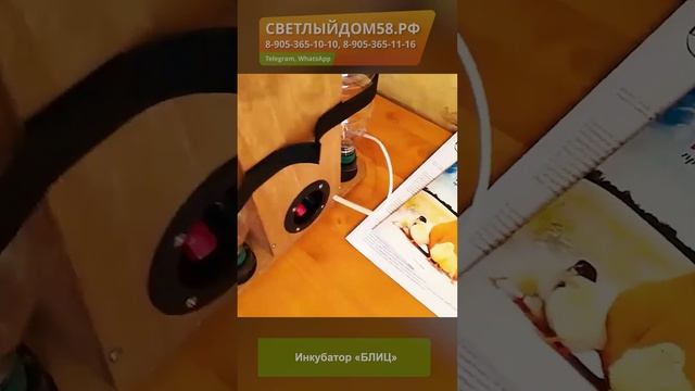 Лучший автоматический инкубатор БЛИЦ. Отечественный инкубатор с автопереворотом яиц.