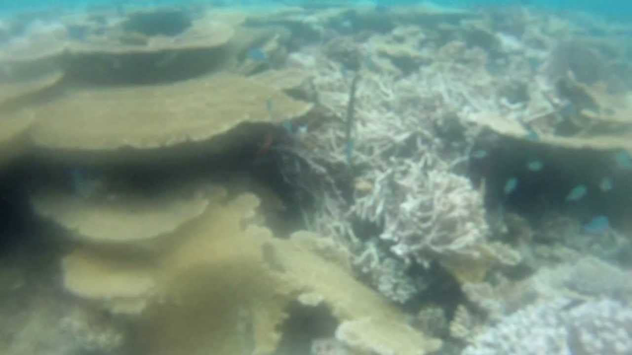 Vilamendhoo, Maldives. Vol.15