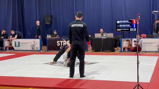 Мане Варданян vs Kelly Alves Do Vale 1/4 55kg gi purple