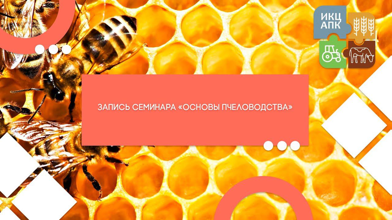 Запись вебинара от 14 сентября 2021 года